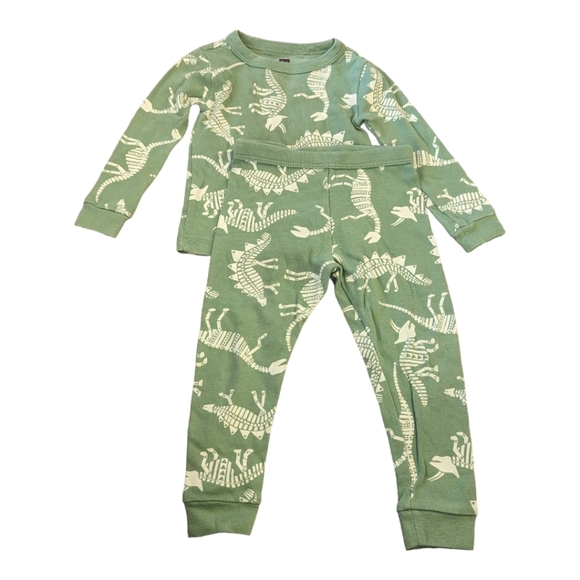 tea | Pajamas | Tea Green Dinosaur Themed Matching Pajama Set | Poshmark